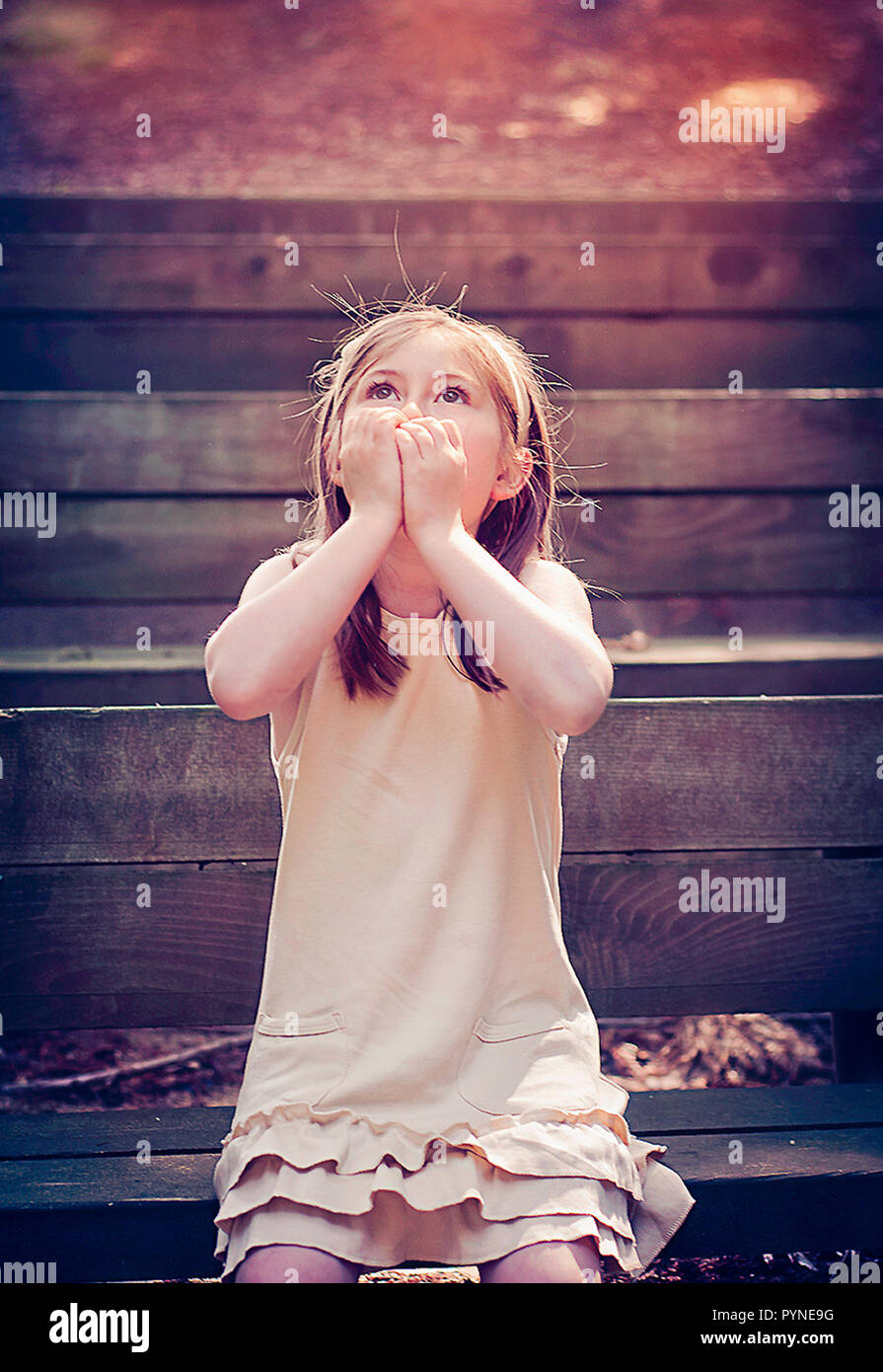 Elementary Aged Girl Looking Up in Awe, at Loma Prieta Redwood Park, in ...