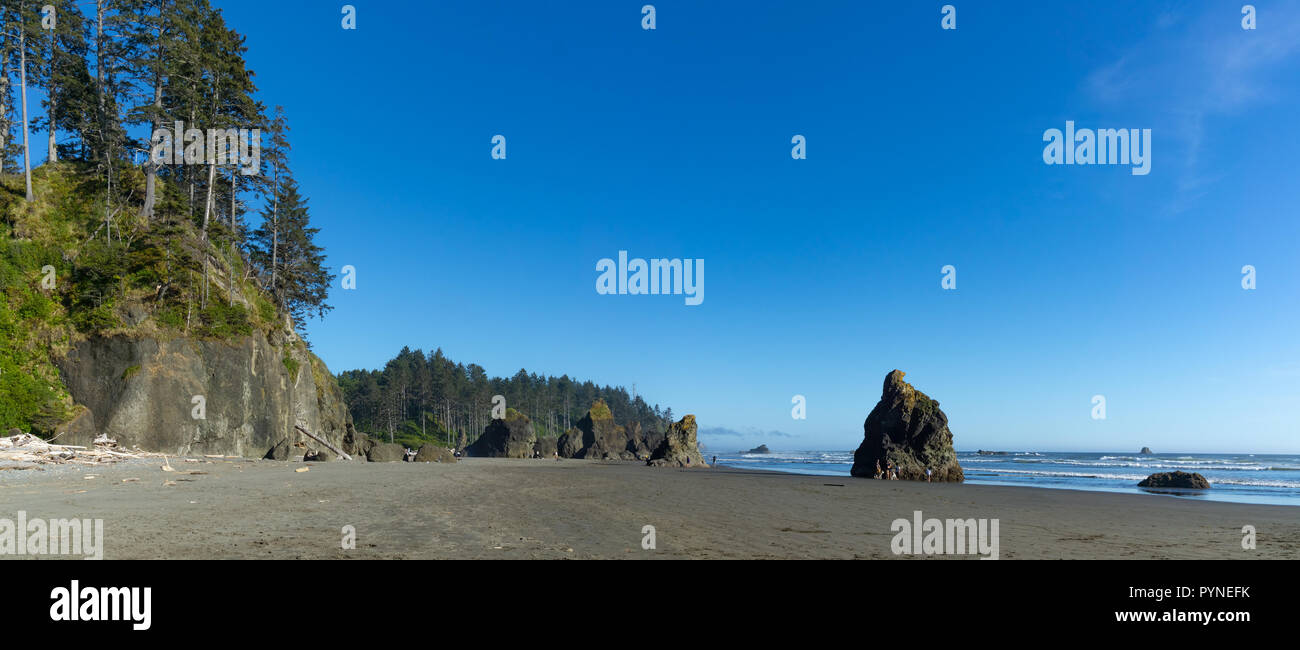 Washington pacific coast hi-res stock photography and images - Alamy