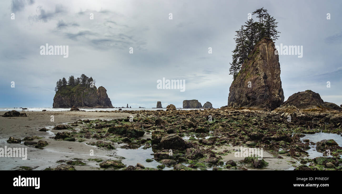 Second Beach panorama with the Crying Lady Rock sea stack in the ...