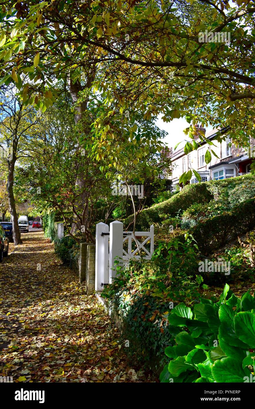Colourful image of Hartburn Village and its' traditional old British ...