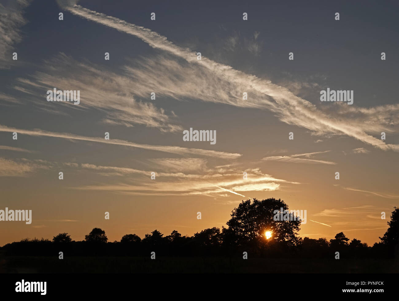 Sunset sky in Surrey, UK Stock Photo - Alamy