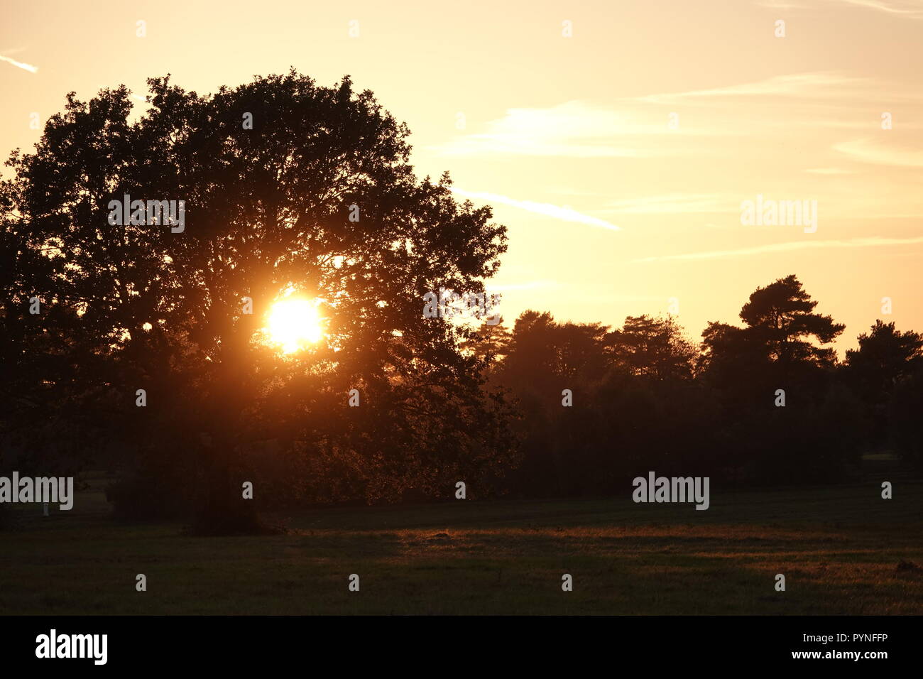 Sunset sky in Surrey, UK Stock Photo - Alamy