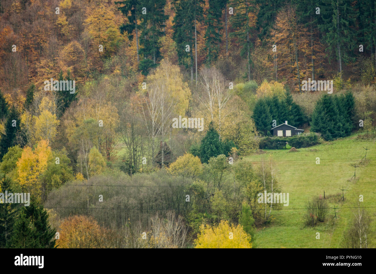Little traditional cabin in the autumn mountains Europe Stock Photo - Alamy