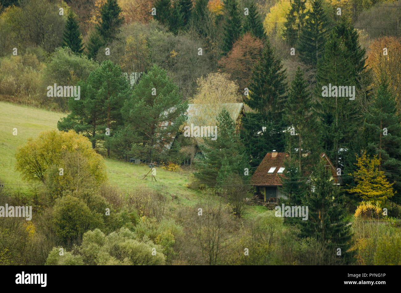 Traditional mountain cabin hi-res stock photography and images - Alamy