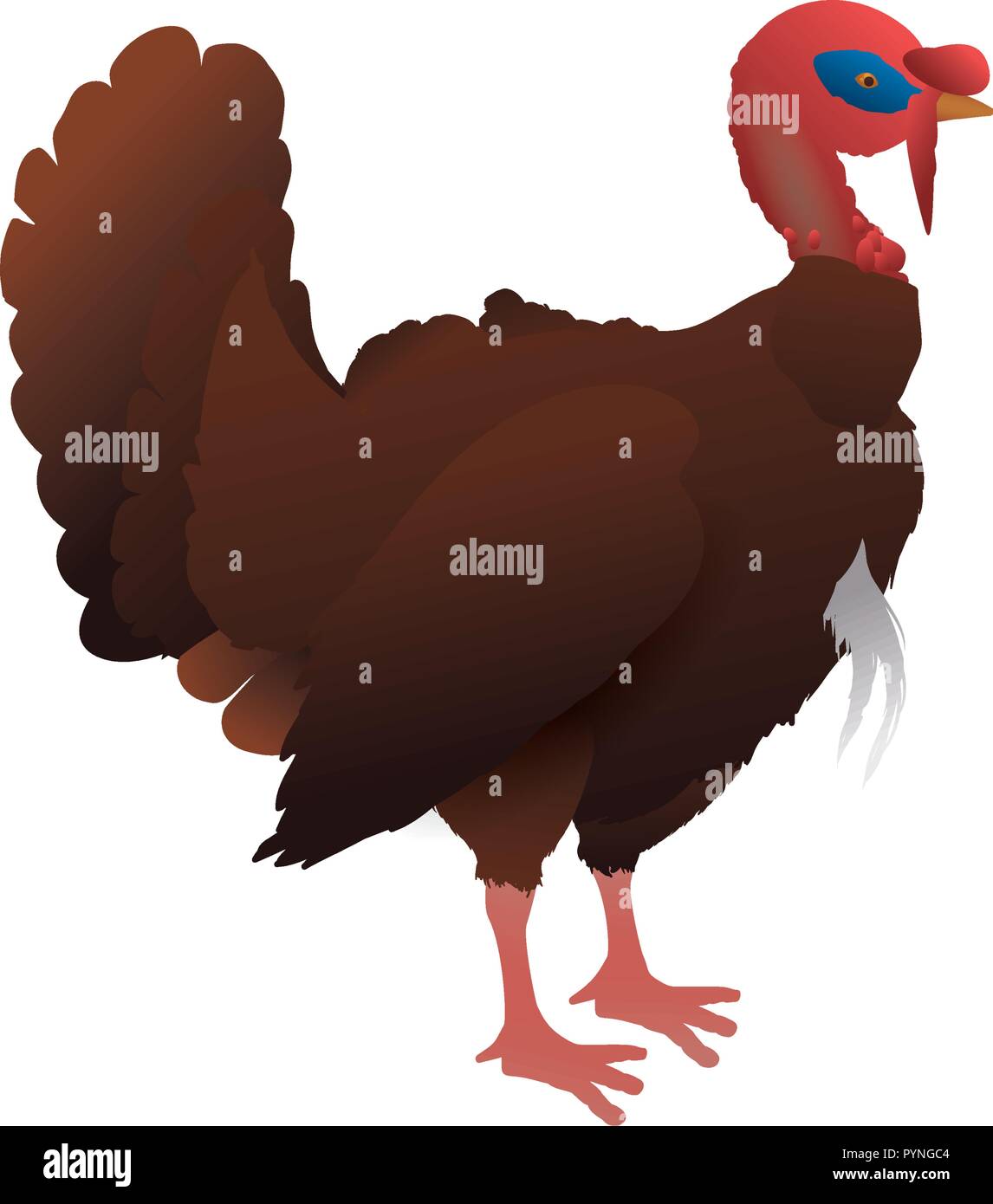 turkey animal farm icon vector illustration design Stock Vector Image ...