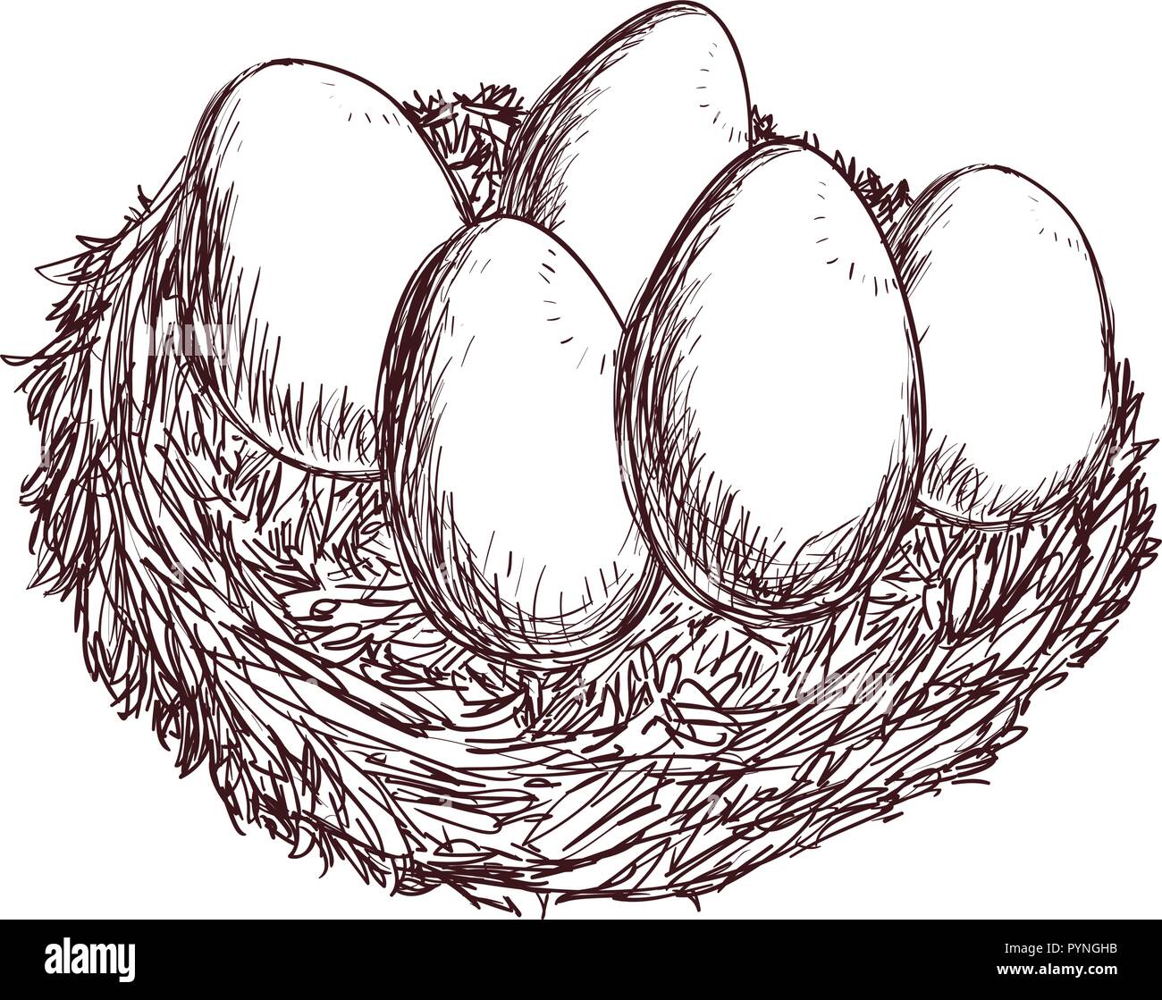 Bird Nest Stock Vector Images - Alamy