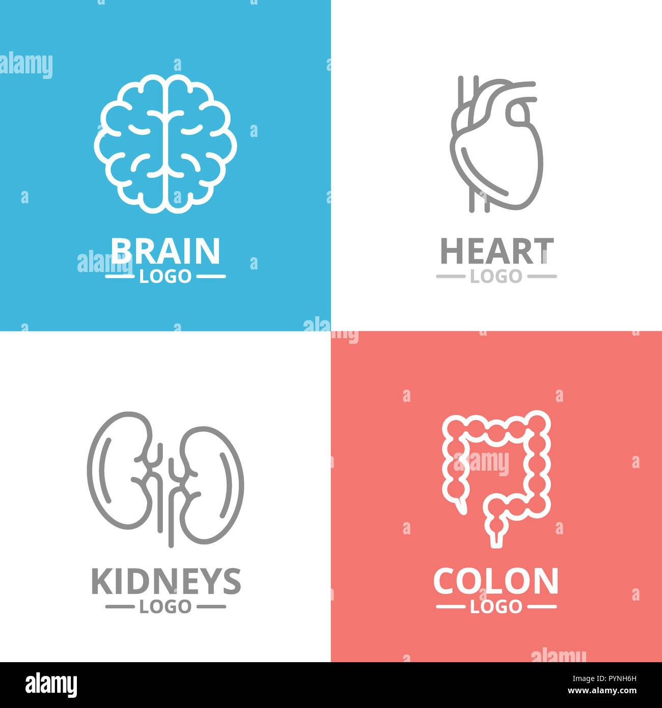 Set of brain and heart, kidney, colon logo or insignia, emblems, labels ...