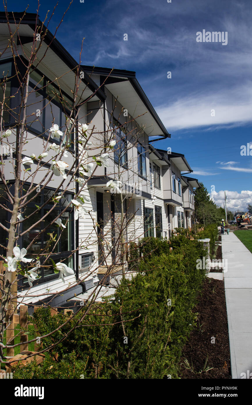 Row modern suburban houses hi-res stock photography and images - Alamy