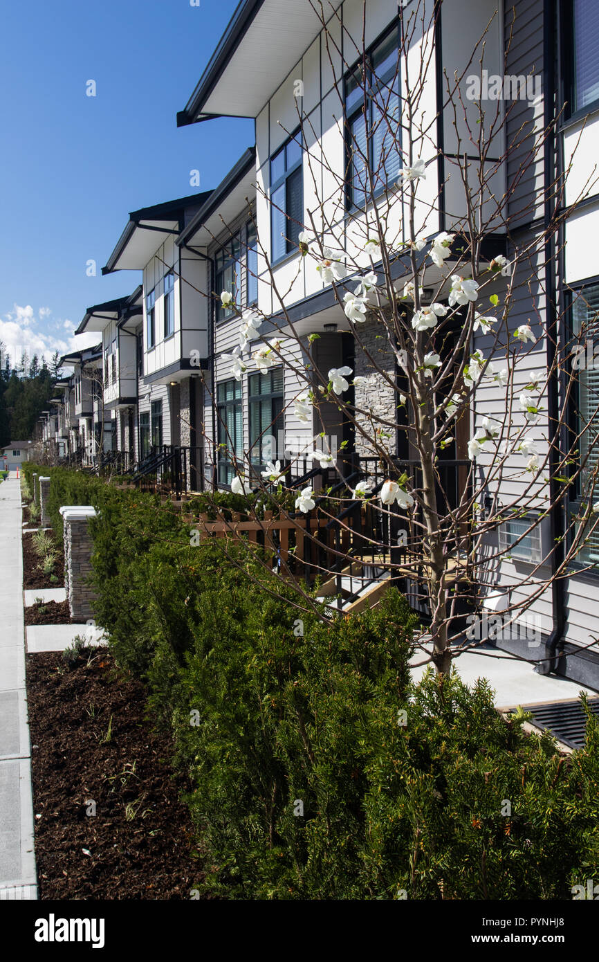 Residential townhouses on blue sky background on a sunny day. External ...