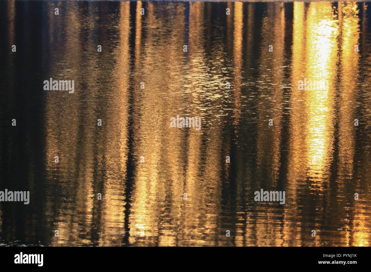 reflection river and shadow tree in water beautiful sunset nature Stock ...