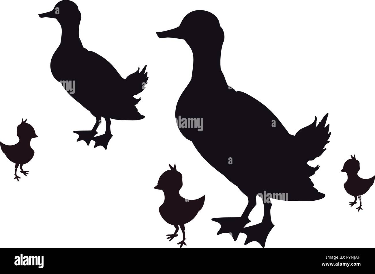 ducks family animal farm icon vector illustration design Stock Vector ...