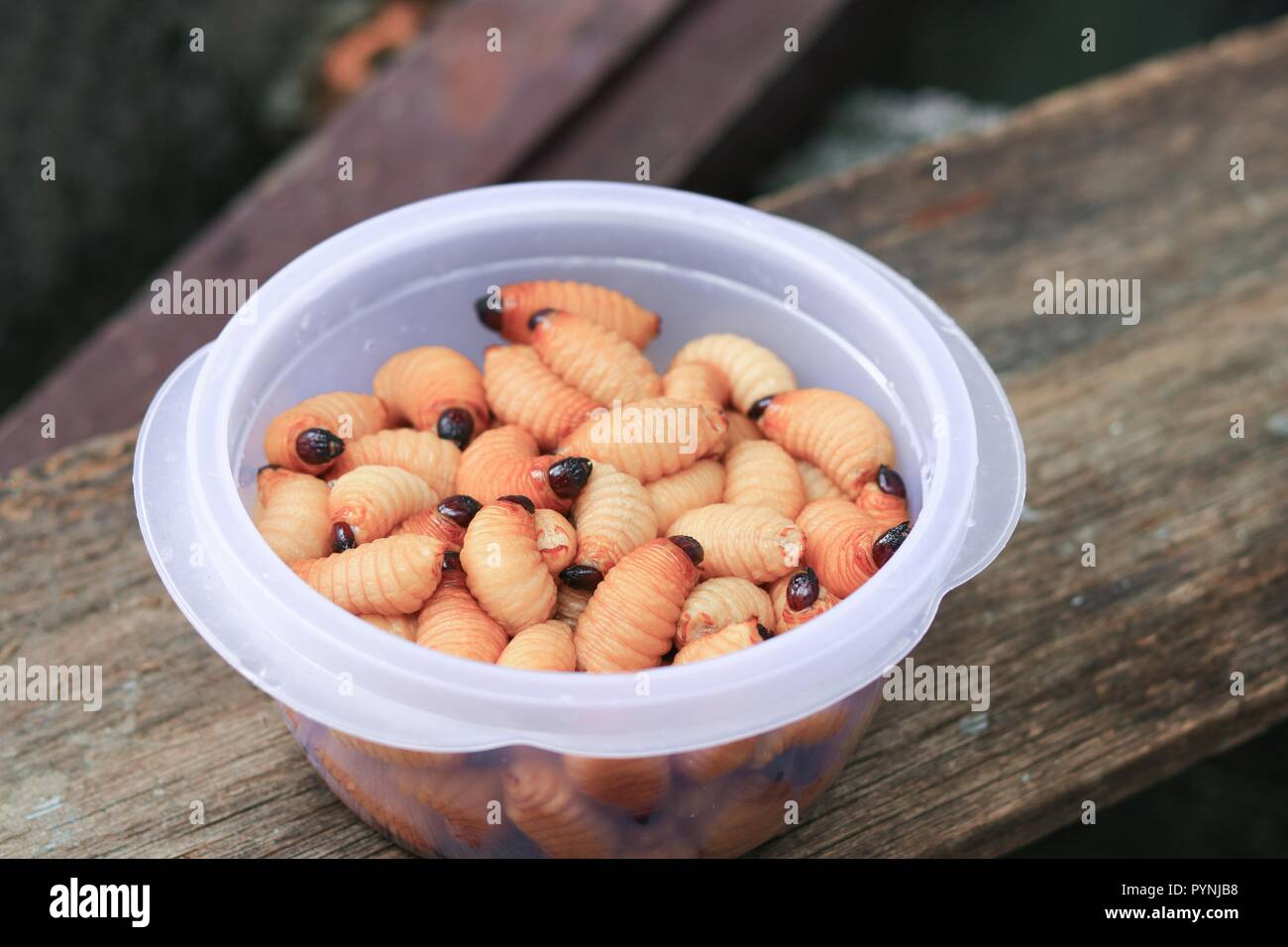 Worm Food Stock Photos & Worm Food Stock Images - Alamy