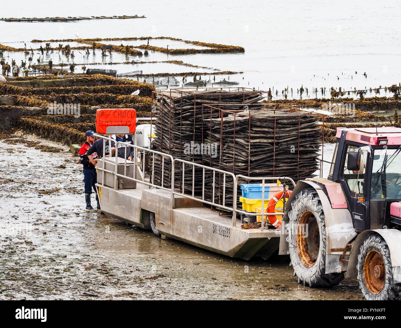 CANCALE, FRANCE - SEPTEMBER Circa, 2018. Local oyster seafood farmers ...