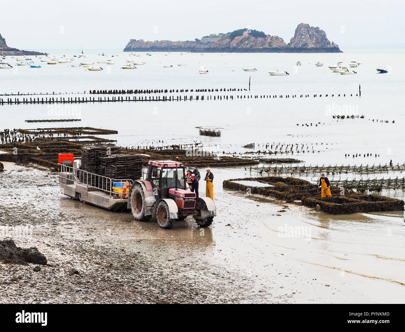 CANCALE, FRANCE - SEPTEMBER Circa, 2018. Local oyster seafood farmers ...