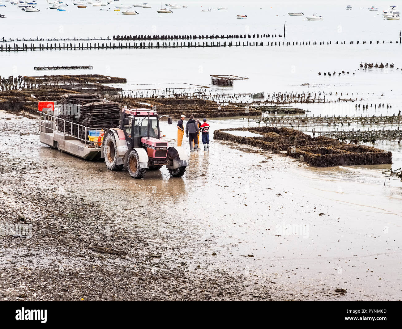 Oyster rack hi-res stock photography and images - Alamy