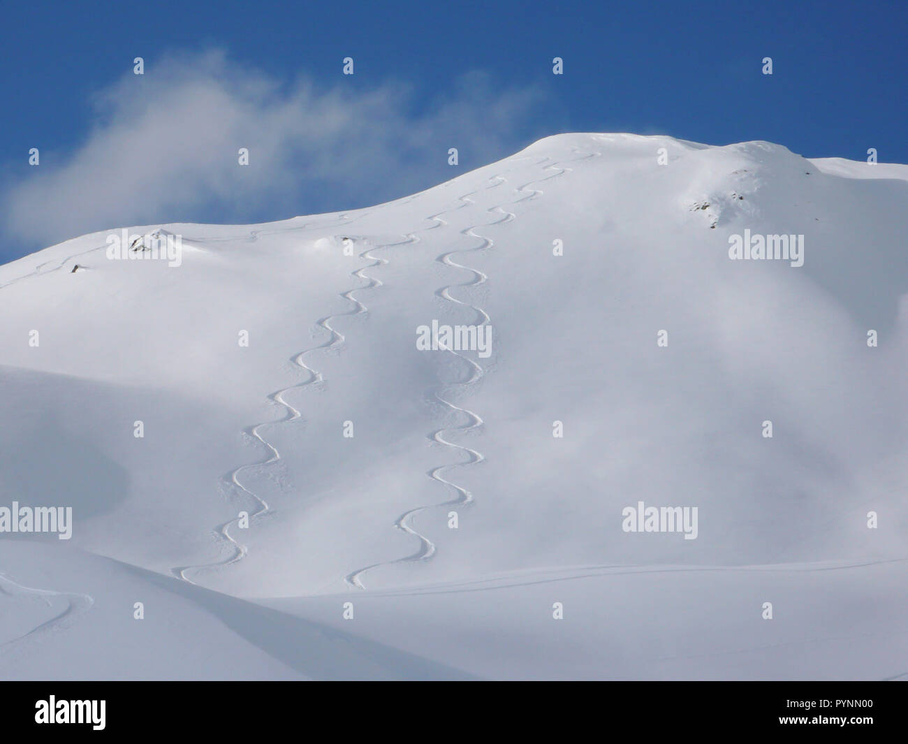 backcountry ski tracks in deep powder snow in winter in the Swiss Alps ...