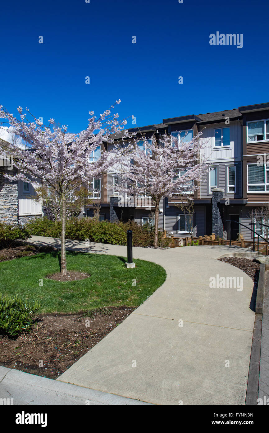 Modern low rise architecture hi-res stock photography and images - Alamy