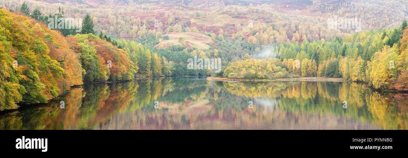 Faskally forest hi-res stock photography and images - Alamy