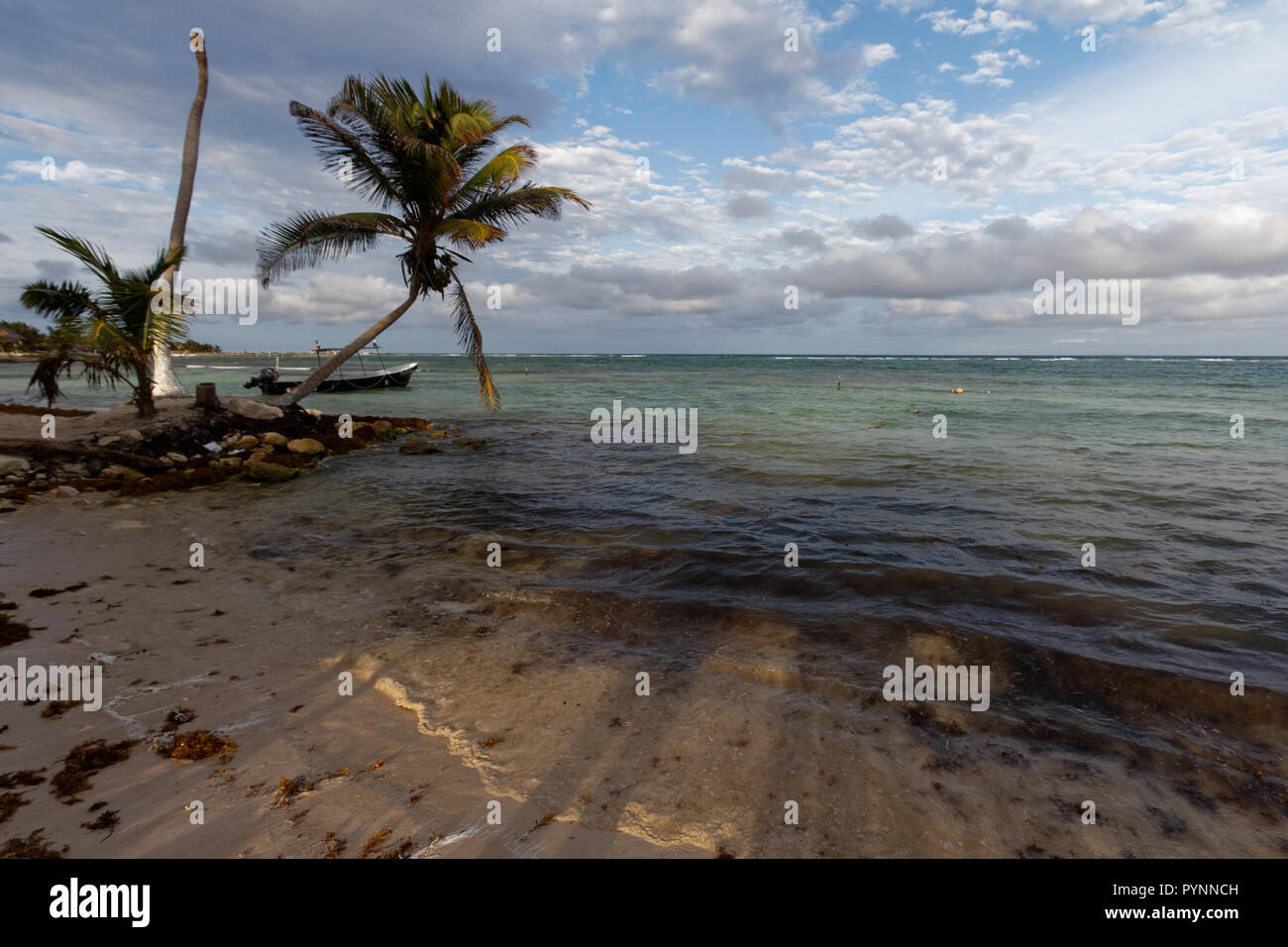 Caribbean beach of Mahahual Stock Photo - Alamy