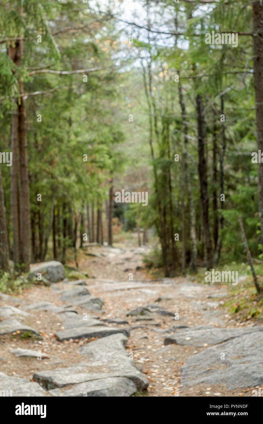 Oslo trekking routes hi-res stock photography and images - Alamy