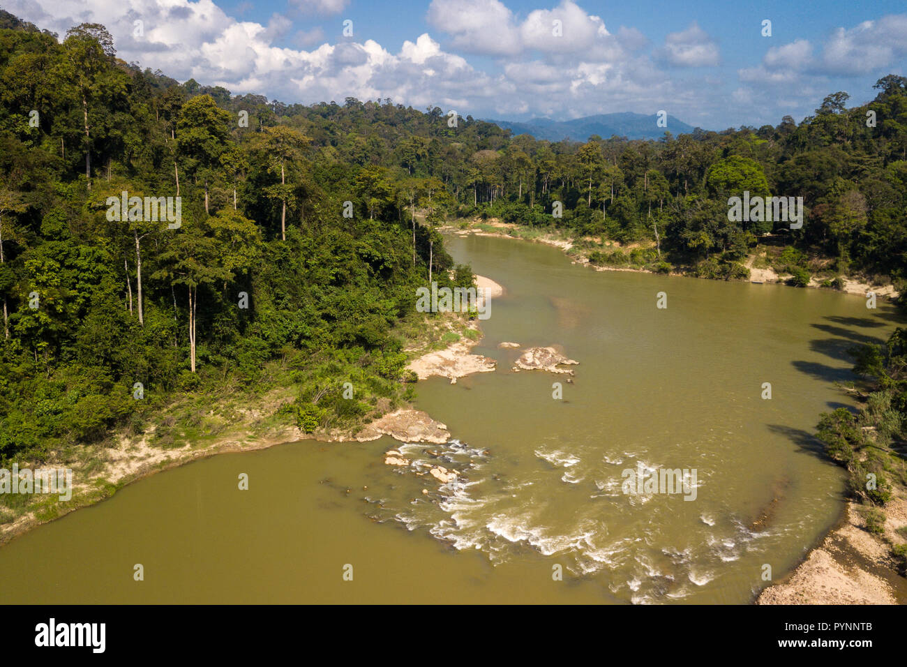 Aerial view of the Tembeling river in the Taman Negara tropical ...