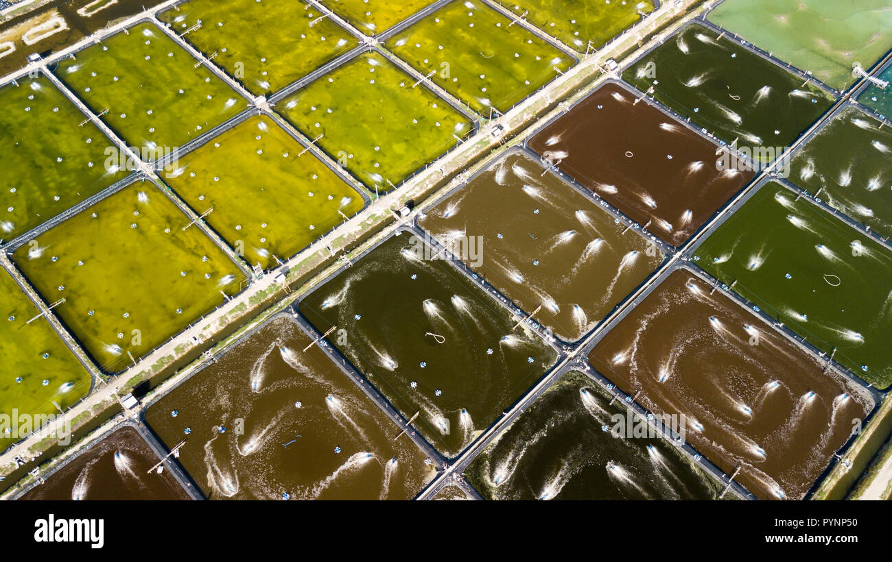 Aerial view of salt extraction pools in Pemuteran, Bali, Indonesia ...