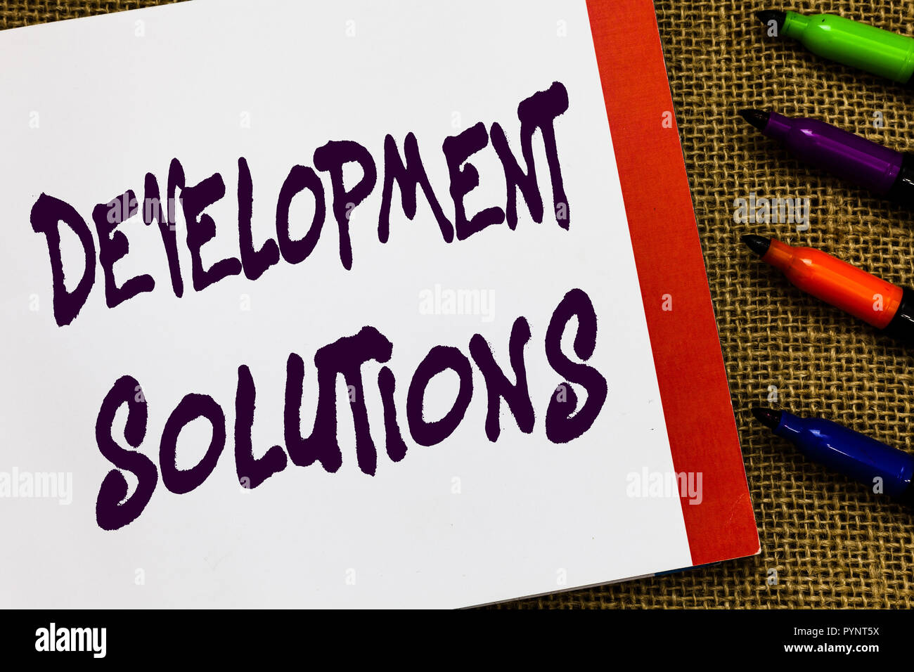 Handwriting text Development Solutions. Concept meaning Efficient Planning based on the Company ...