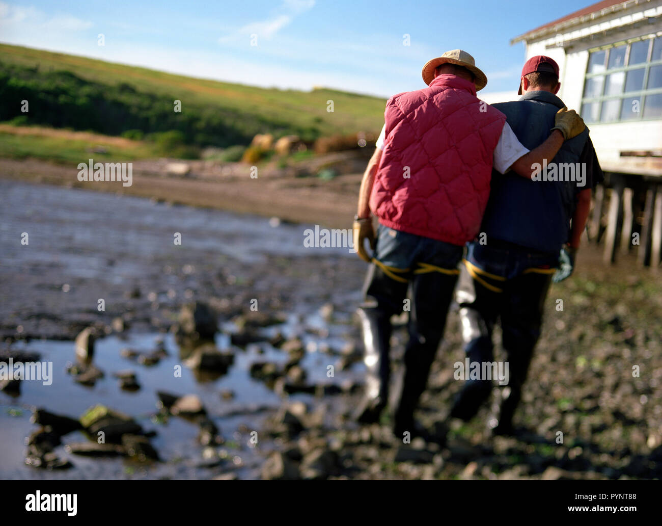 Rear view of two men walking together Stock Photo - Alamy