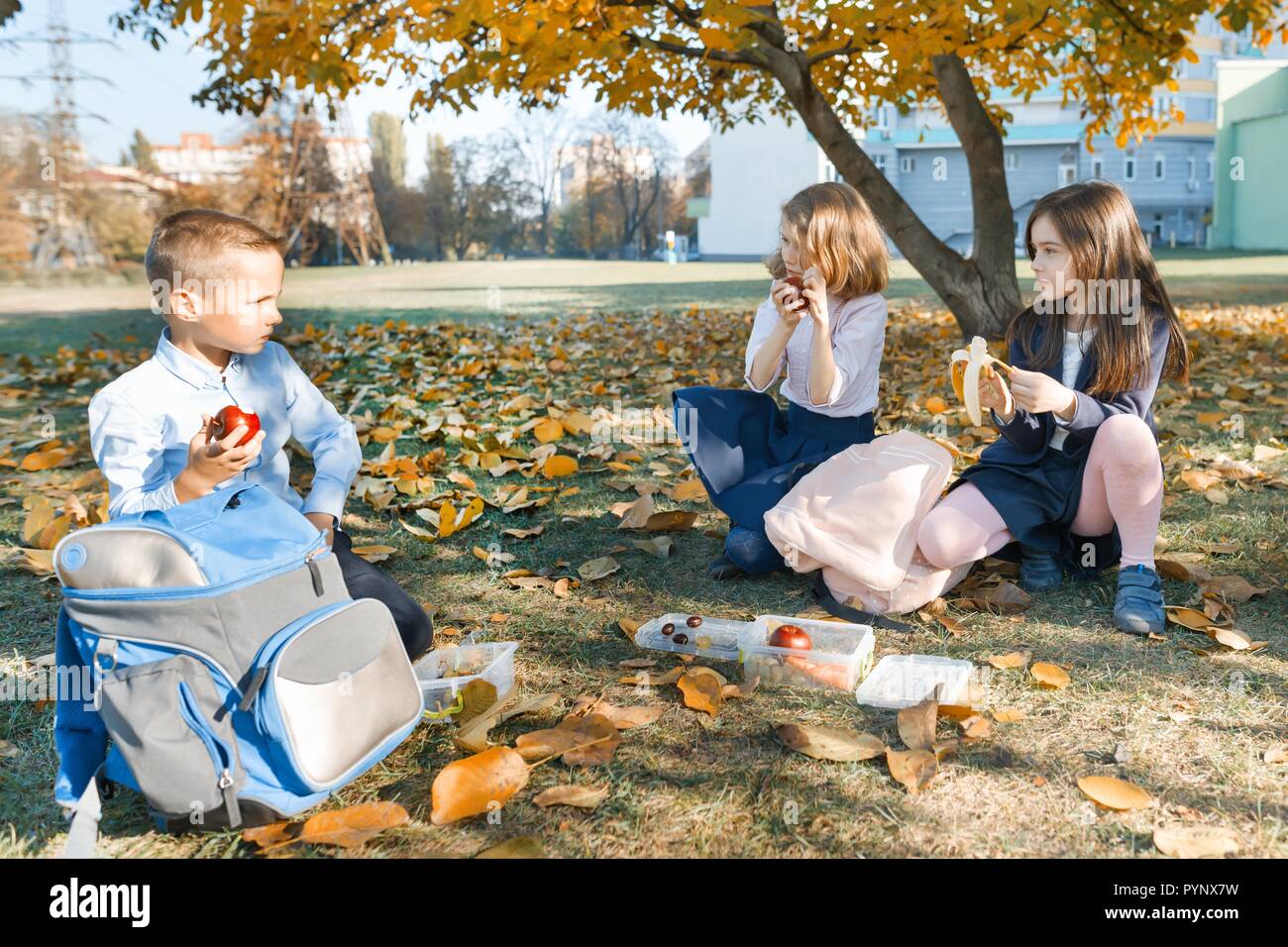 Healthy lunch boxes children hi-res stock photography and images - Alamy
