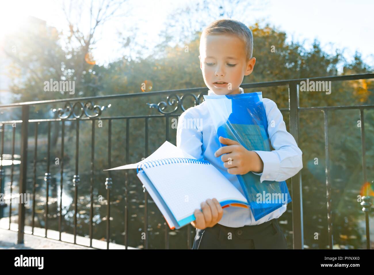 Little smart schoolboy 6, 7 years old in glasses with books and ...