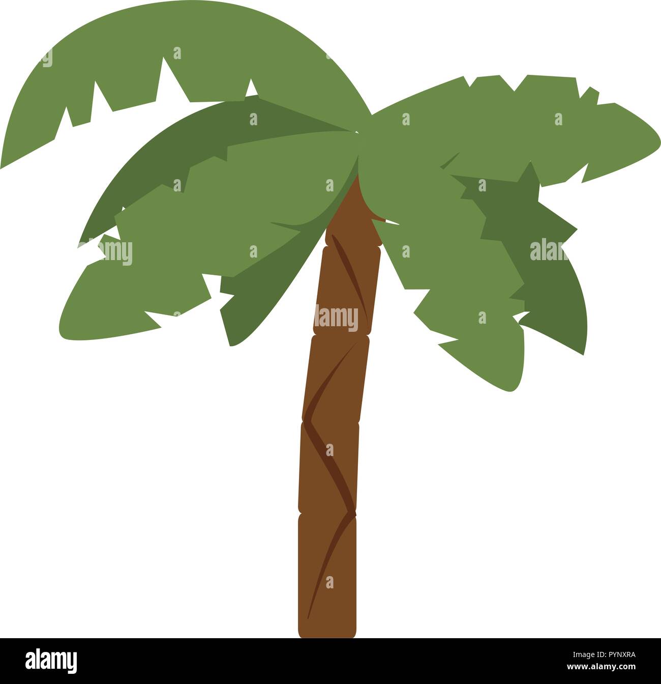 Palm tree cartoon isolated vector illustration graphic design Stock ...