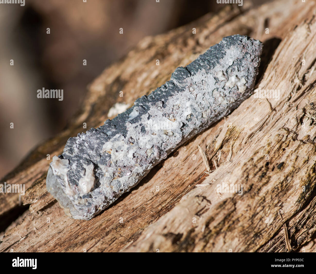 Specularite hi-res stock photography and images - Alamy