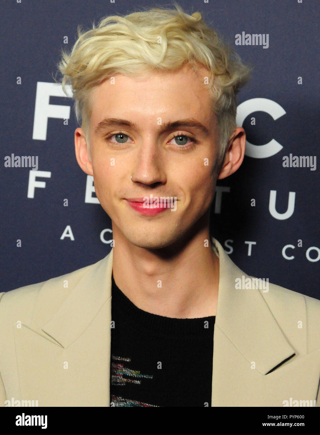 LOS ANGELES, CA - OCTOBER 29: Singer/actor Troye Sivan attends the ...