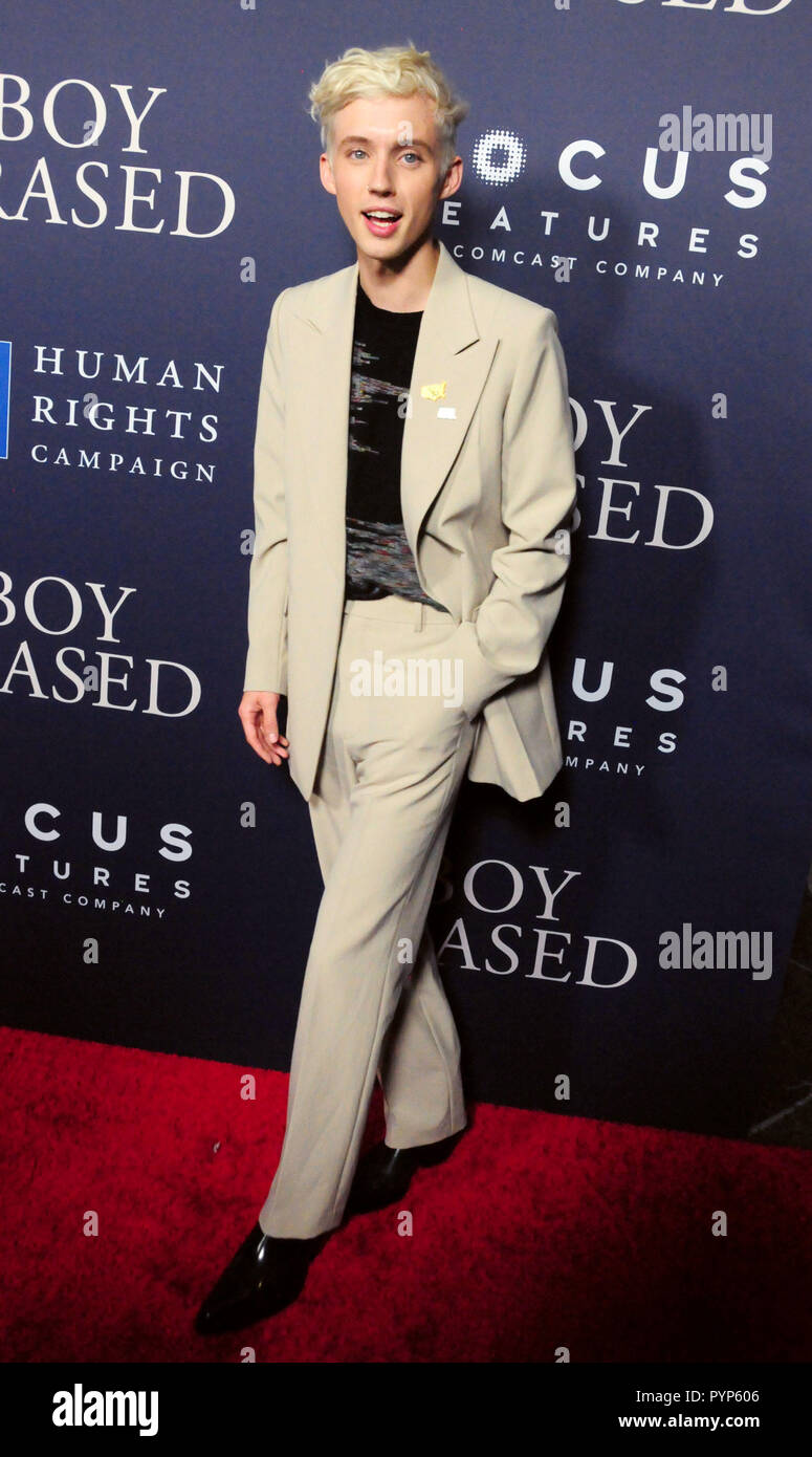 LOS ANGELES, CA - OCTOBER 29: Singer/actor Troye Sivan attends the ...