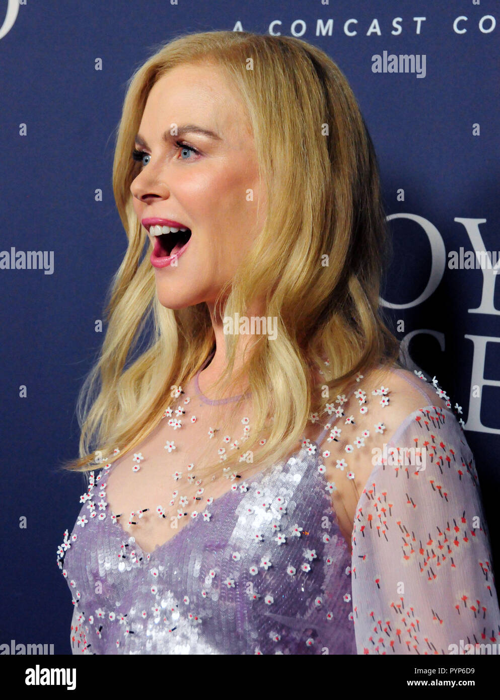 LOS ANGELES, CA - OCTOBER 29: Actress Nicole Kidman attends the premiere of Focus Features' 'Boy ...