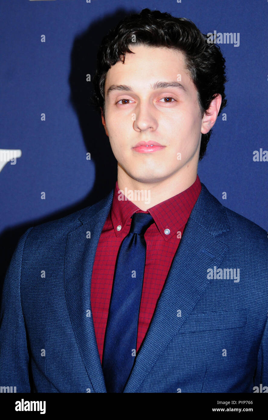 LOS ANGELES, CA - OCTOBER 29: Actor Josh Scherer attends the premiere ...