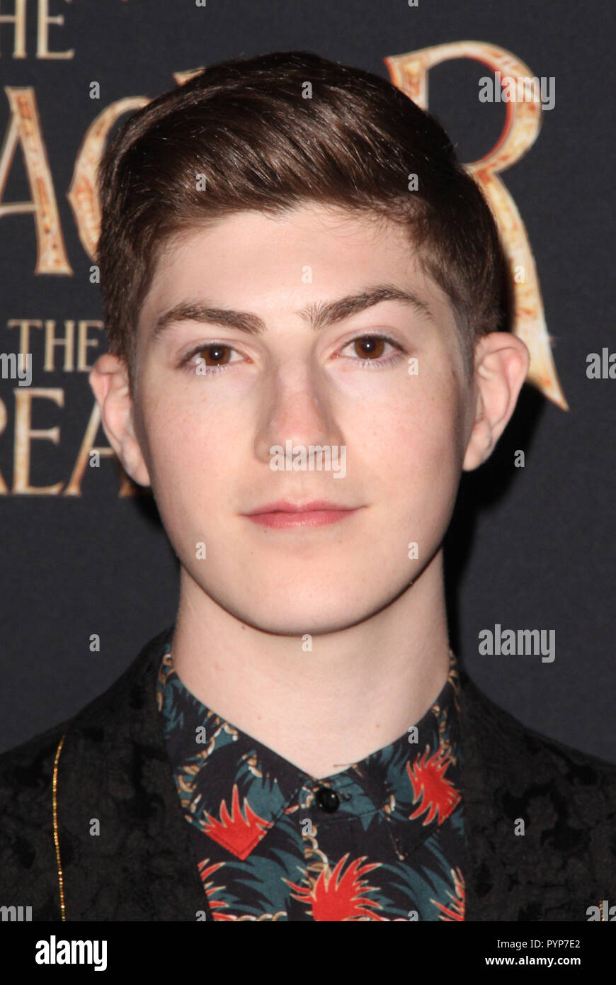 Mason Cook 10/29/2018 The World Premiere of "The Nutcracker and The ...