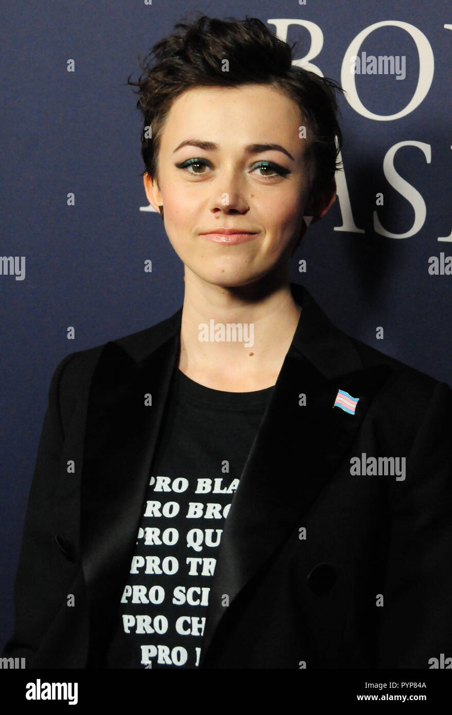 LOS ANGELES, CA - OCTOBER 29: Actress Jesse LaTourette attends the premiere of Focus Features ...