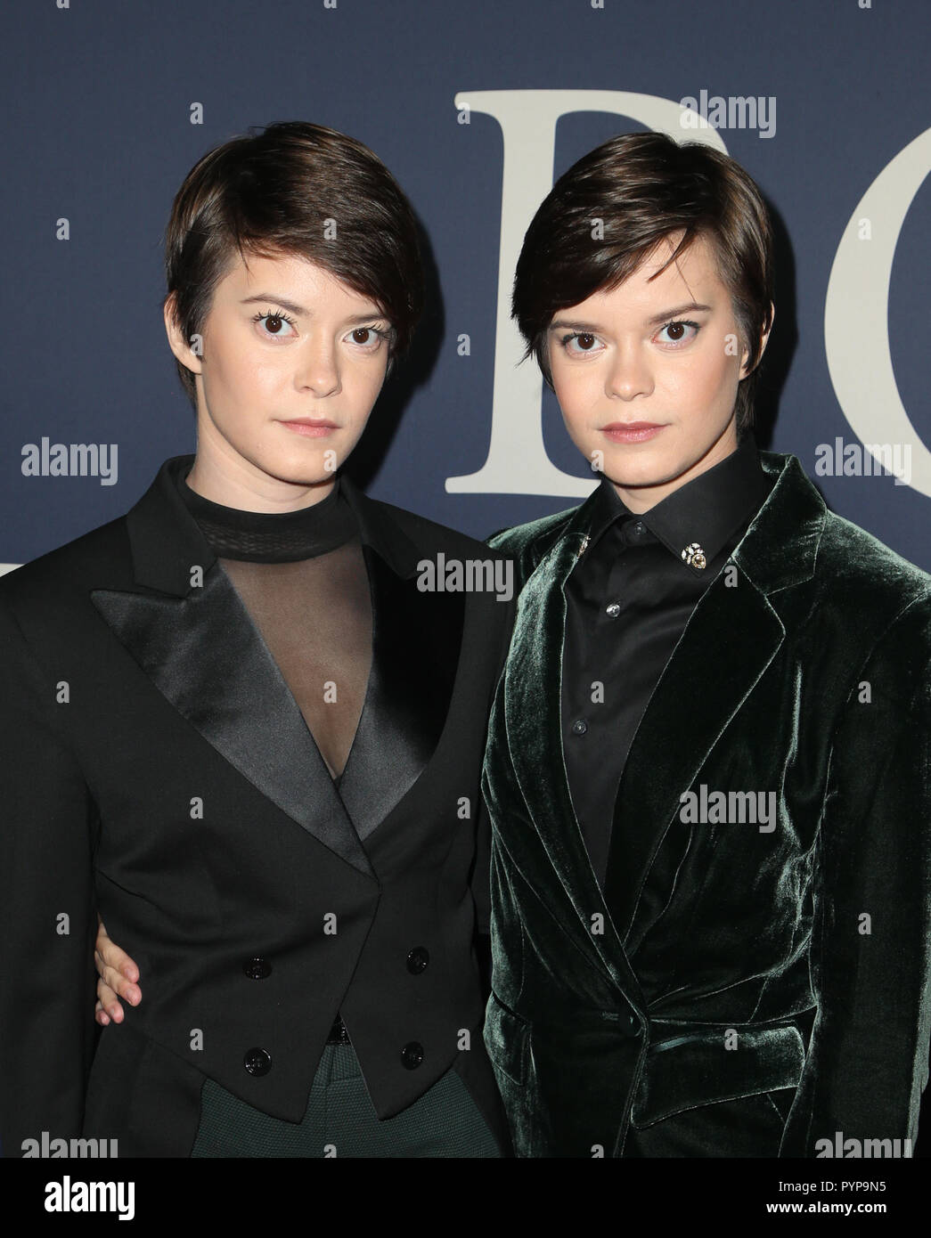 Los Angeles, Ca, USA. 29th Oct, 2018. Emily Hinkler, Elizabeth Hinkler ...