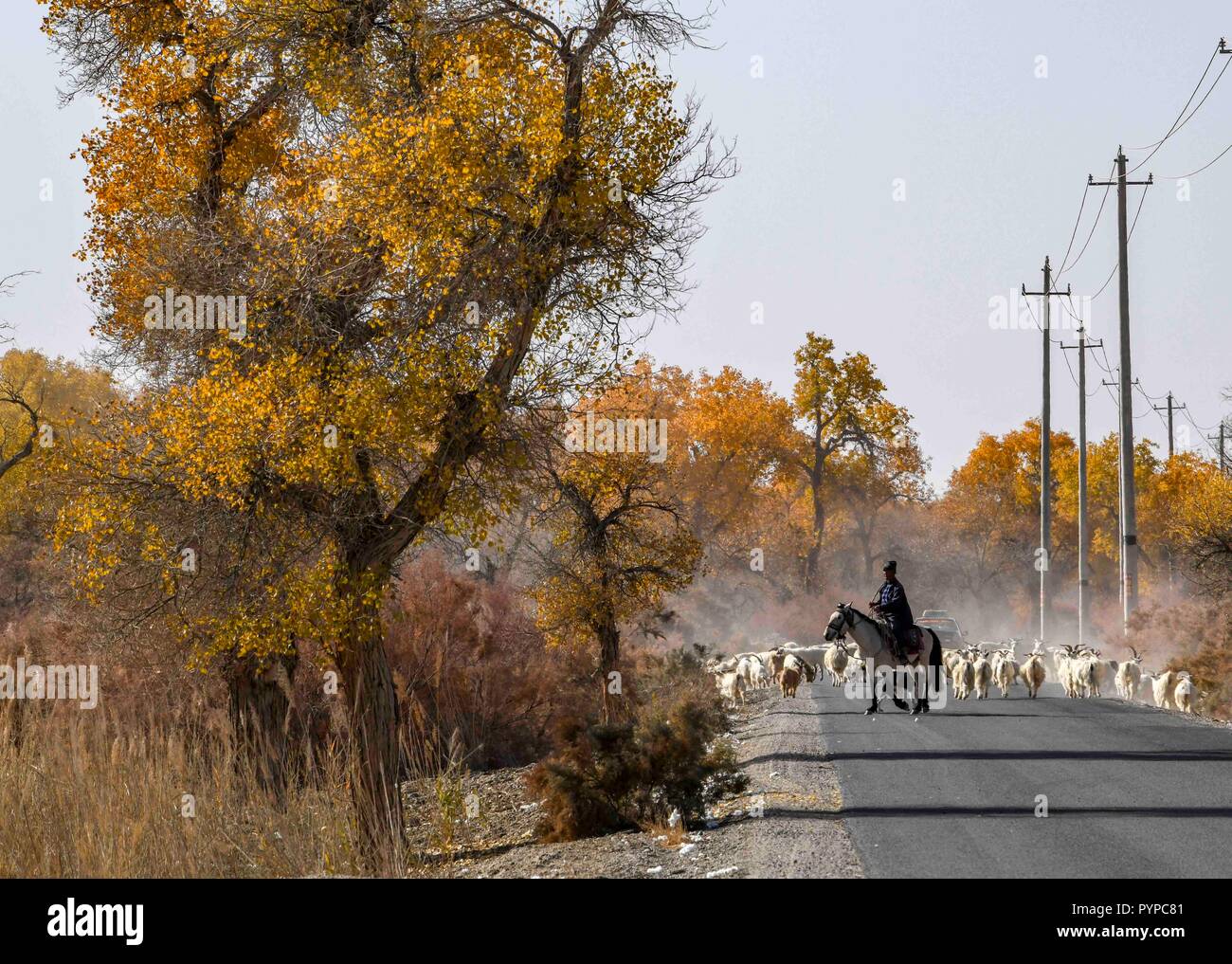 1 7 2000 High Resolution Stock Photography and Images - Alamy