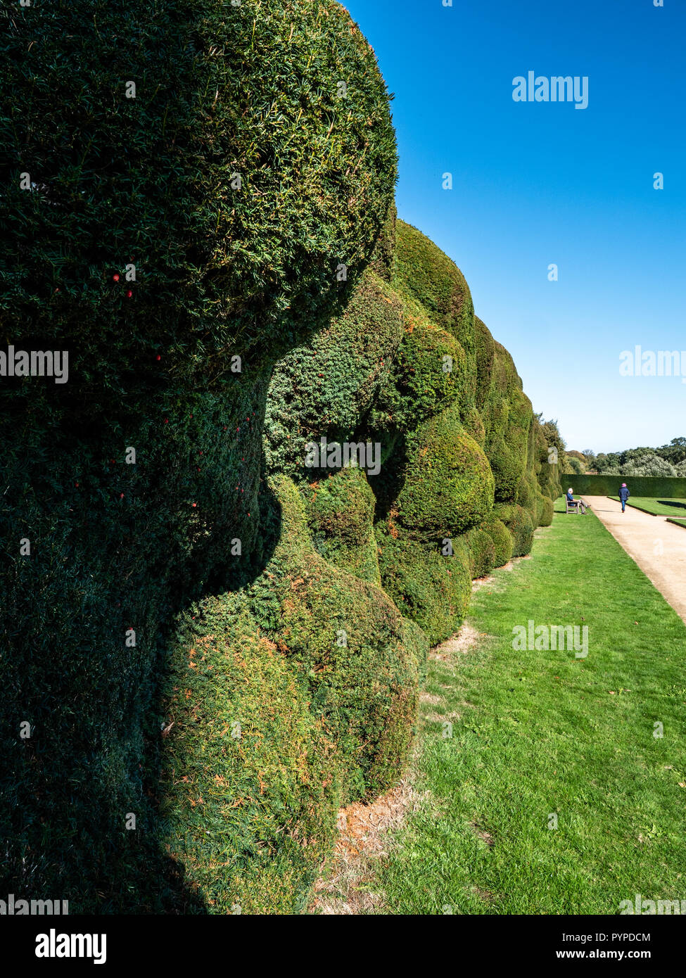 Clipped hedge formal hi-res stock photography and images - Alamy