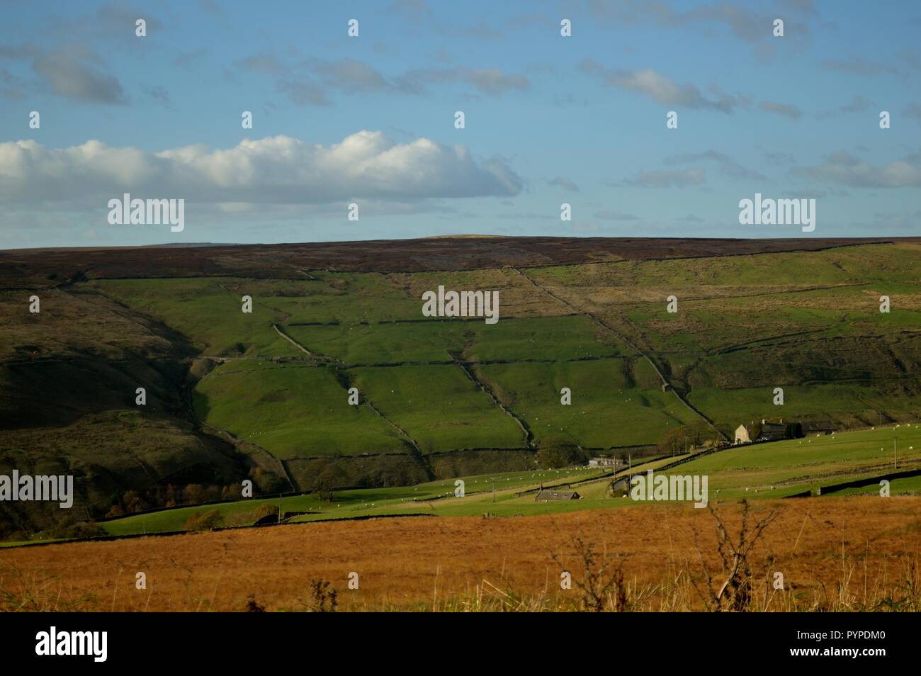 Yorkshire autumn colours hi-res stock photography and images - Alamy