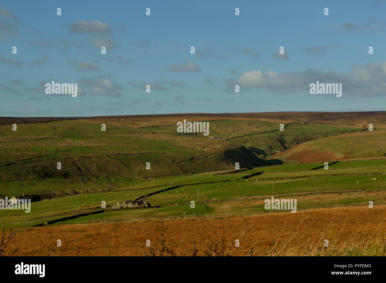 Yorkshire autumn colours hi-res stock photography and images - Alamy