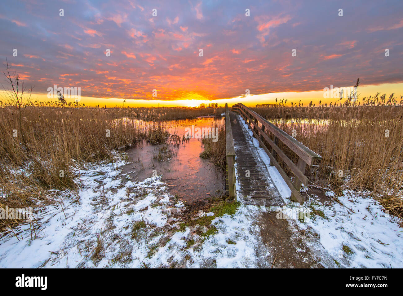 Winter landscape with Thin layer of snow on Wooden walking bridge ...