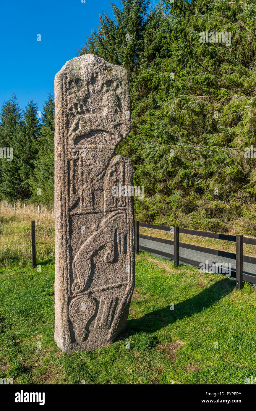 Ancient standing stone beside Inverurie, Aberdeenshire Stock Photo - Alamy