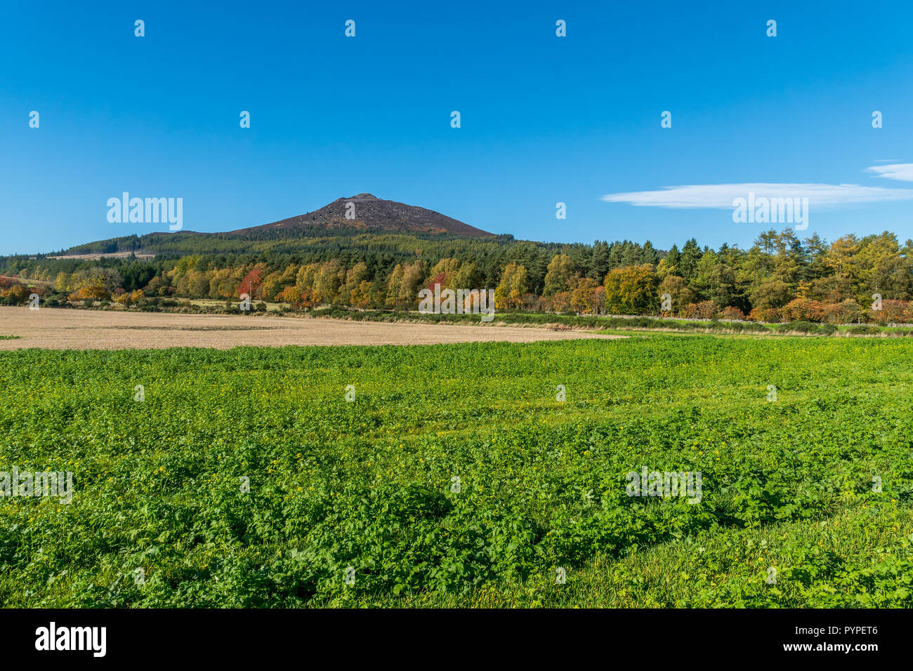 Bennachie hi-res stock photography and images - Alamy