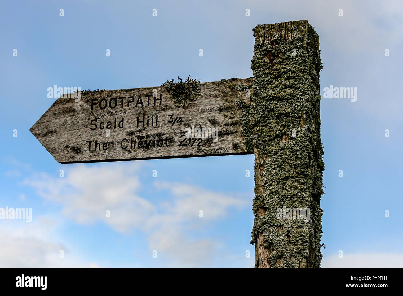 A Lichen covered wooden signpost in the Harthope Valley in ...
