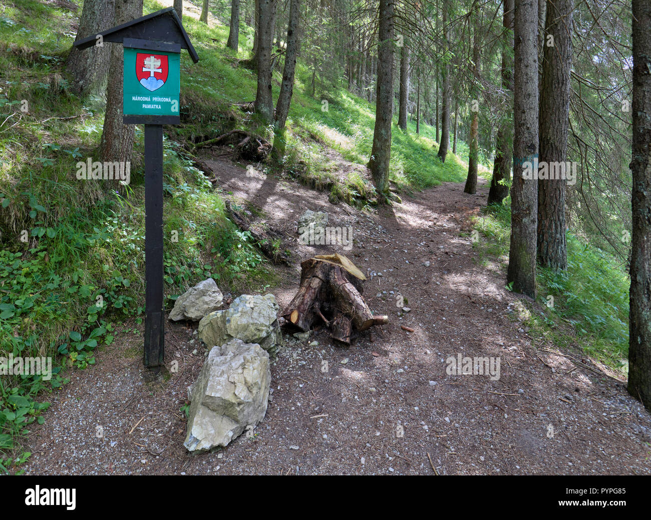 Path inside forest hi-res stock photography and images - Alamy