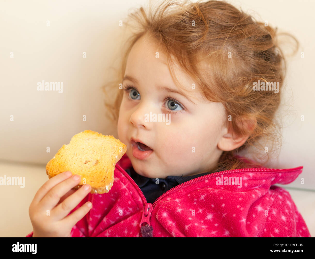 Portrait of a little girl eating a rusk Stock Photo - Alamy