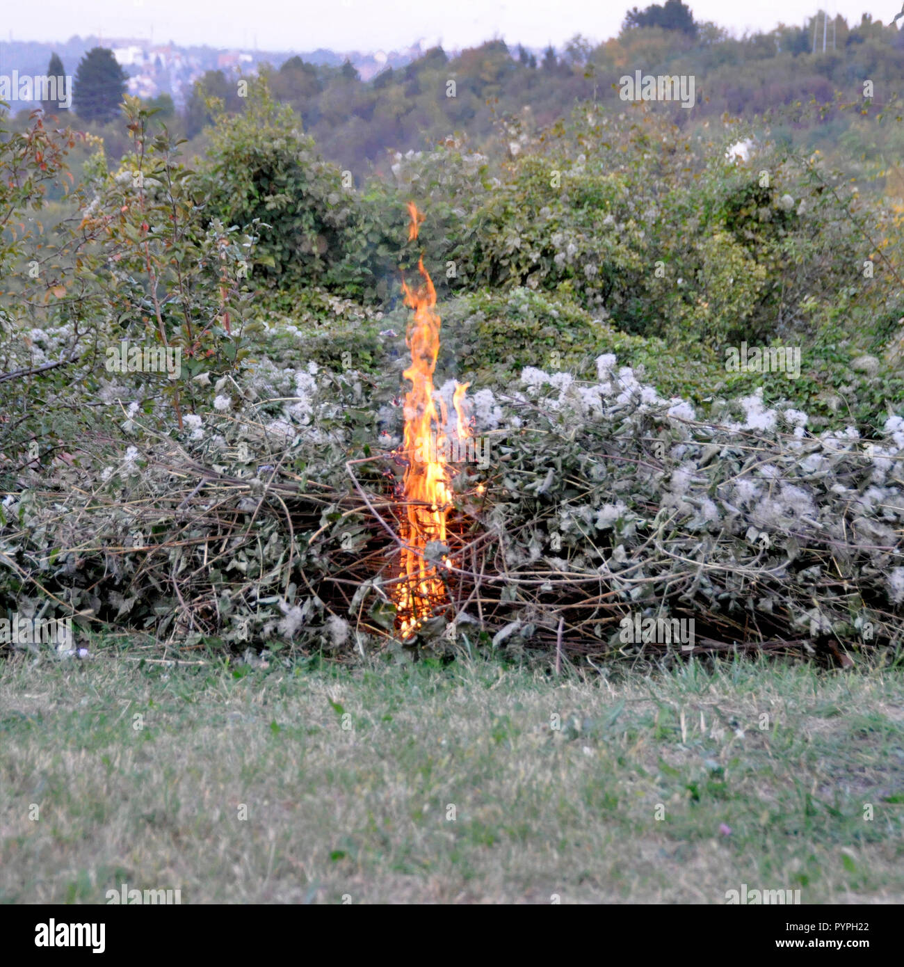 The dry autumn leaf burning in the garden Stock Photo - Alamy